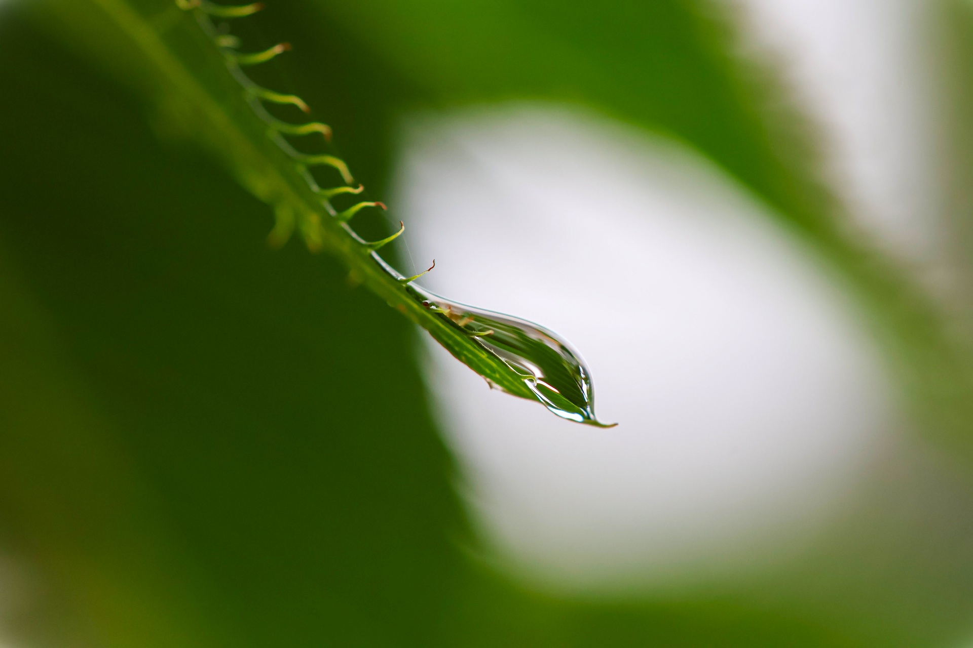 Becca Kate Photography